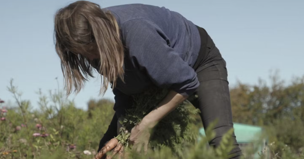 Filmvisning: "Landbrugets Natur " | Hillerød Bibliotekerne